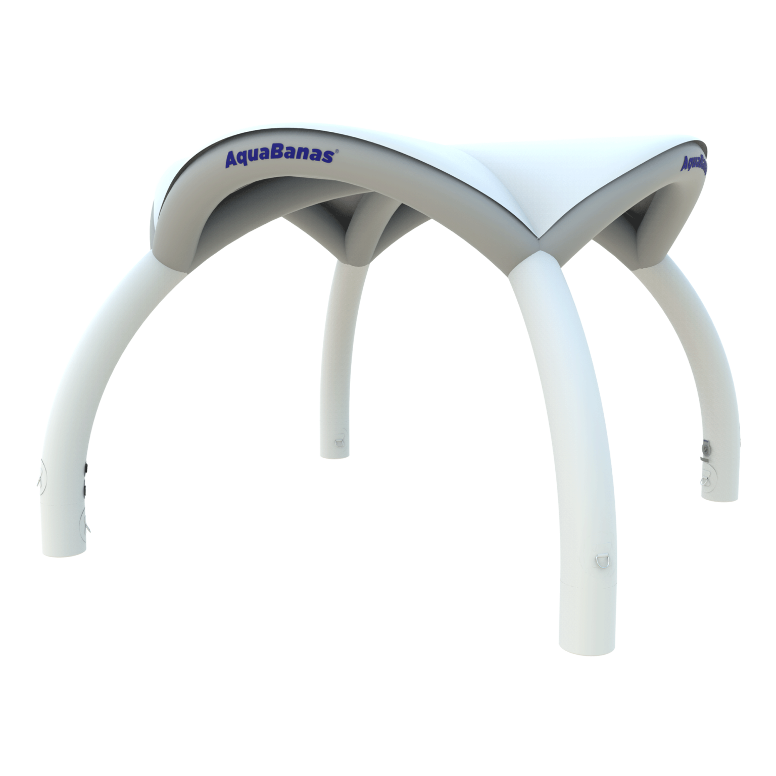 AquaBanas – Aqua Flight